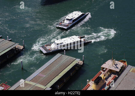 Aerial view of rivercat Parramatta class ferries arriving and departing ...