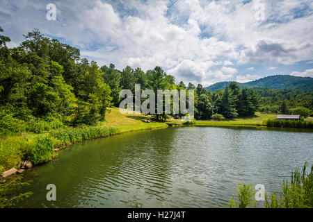 Pond in the rural Shenandoah Valley of Virginia Stock Photo - Alamy