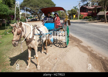 A two-wheeled calash, horse-drawn carriage in Giza Pyramids plateau ...