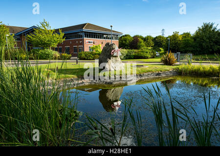 Landscaping at the Ergo House office building, Mere Way, Ruddington ...
