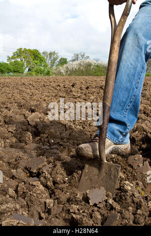 A spade in a soil A gardener pushing the wheelbarrow with soil and a ...