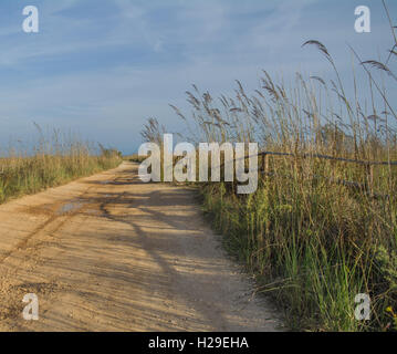 landscape with rural sandy road Stock Photo - Alamy