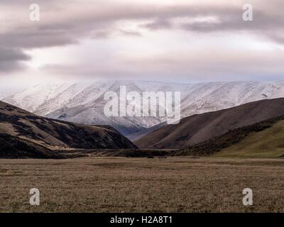 central otago landscape Hawkdun Range shades of brown and cream rolling folds level stubble ...