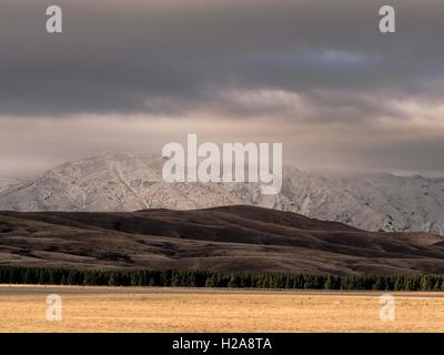 central otago landscape Hawkdun Range shades of brown and cream rolling folds level stubble ...