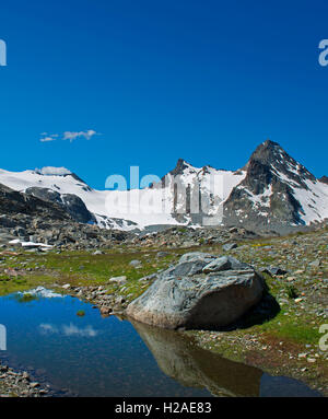 Rutor glacier,Grand Assaly, le Vedette, Testa del Rutor, alpine ...