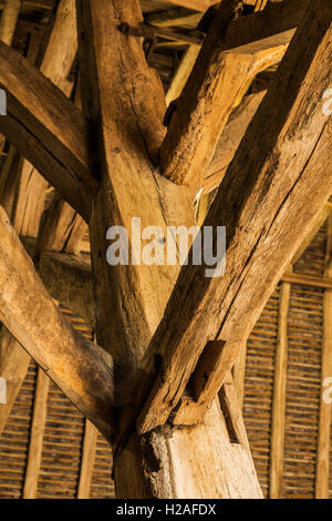 The Barley Barn, Cressing Temple Barns, an ancient monument situated ...