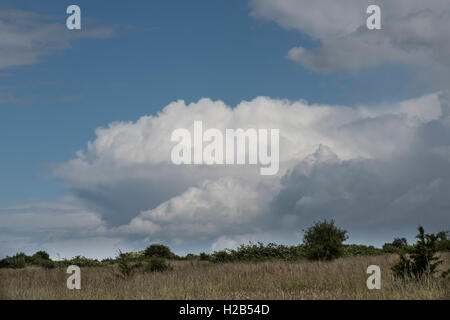 View from Priest's Hill, Ewell, Surrey, UK Stock Photo - Alamy
