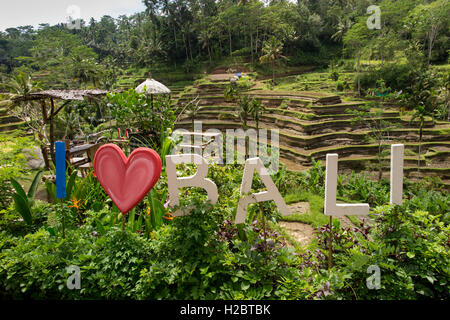 Indonesia, Bali, Tegallang, I love (heart) Bali sign in cafe garden ...