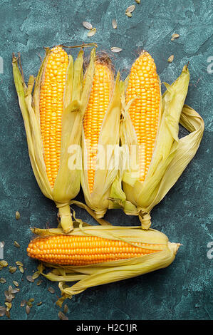 Sweet corncob background. Corn ears texture closeup. Macrophotography ...