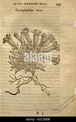 This botanical work by Carolus Clusius details rare plant species ...