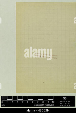 Correspondence - Allen (John) and Engelmann (George) (Jan 29, 1882 (1 ...