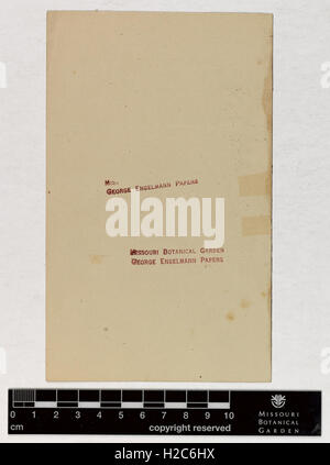 This document presents a letter exchange between Michael Bebb and ...