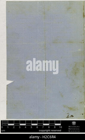 This correspondence includes letters exchanged between Adolph Engler ...