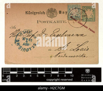 This correspondence between Adolph Engler and George Engelmann from ...