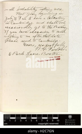 This letter exchange between William Farlow and George Engelmann from ...