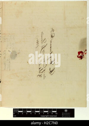 Correspondence - Geyer (Karl) and Engelmann (George) (May 11, 1843 (1 ...
