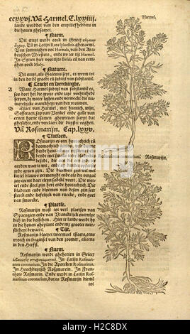 This crude book provides a historical account of a particular subject ...