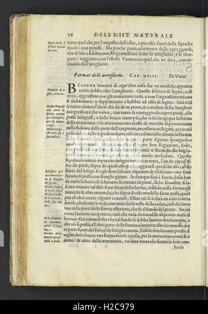 This historical natural history work by Ferrante Imperato explores the ...