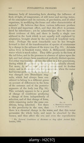 An exploration of natural selection, focusing on the process through ...