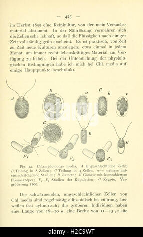 This study explores the reproductive conditions of various algae and ...
