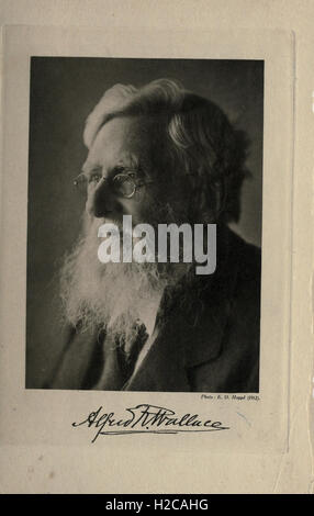 Alfred Russel Wallace was a prominent naturalist and biologist, known ...