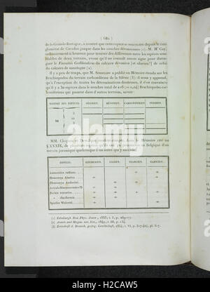 This essay addresses a scientific challenge proposed by the French ...