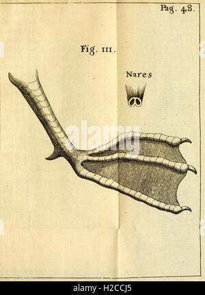 This work by Francesco Redi documents various natural experiments ...