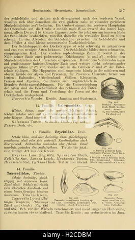 This work outlines the fundamental principles of paleontology, with a ...