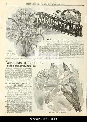 A historical document from 1892 detailing key events and developments ...