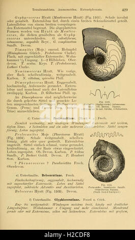 This work provides foundational principles in paleontology, covering ...