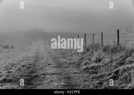 Frosty and foggy November day in the countryside Stock Photo - Alamy