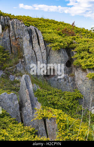 The Devil's Footprints near Keels, Newfoundland and Labrador, Canada ...