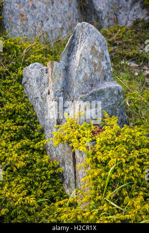 The Devil's Footprints near Keels, Newfoundland and Labrador, Canada ...