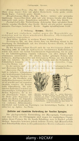 An introduction to the fundamental principles of paleontology, focusing ...