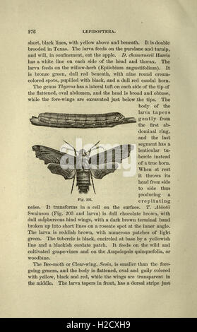 This guide serves as an introduction to the study of insects, outlining ...