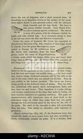 This guide serves as an introduction to the study of insects, detailing ...