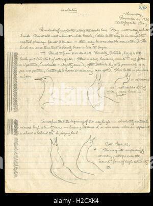 This page features observations and notes on gull species, covering ...