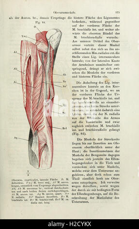 This handbook provides a systematic overview of human anatomy, focusing ...