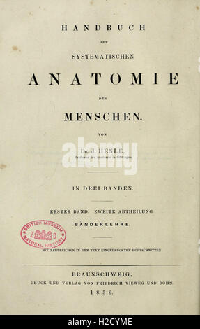 This text is a detailed handbook on human anatomy, focusing on the ...