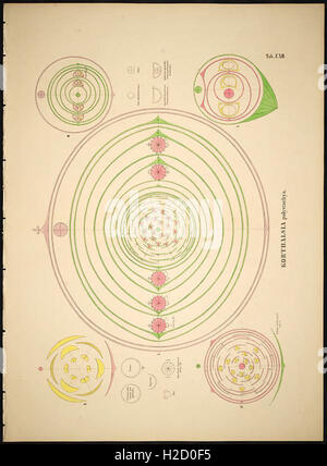 This botanical work, 'Historia naturalis palmarum,' offers an in-depth ...