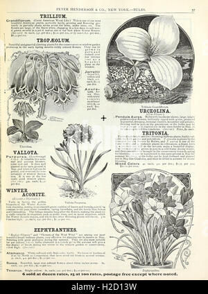 This page from 1892 offers a historical perspective on scientific or ...