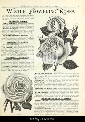 A historical document from 1892, providing insight into the events ...