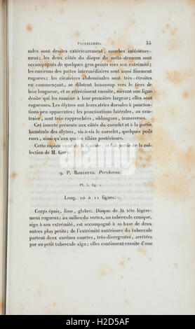 This monograph examines the Passalidae family and its classification ...