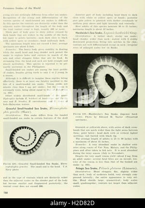This work provides a detailed overview of the venomous snakes of India ...