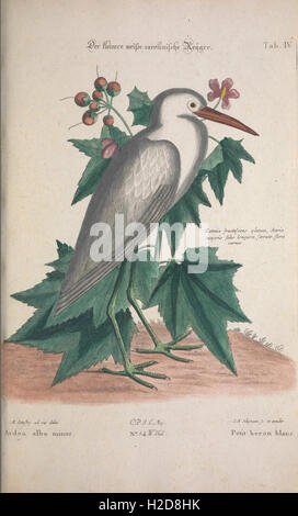A collection of foreign and rare bird species, showcasing illustrations ...