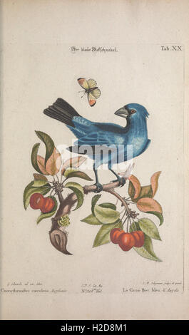 Collection of various foreign and rare birds, illustrating different ...