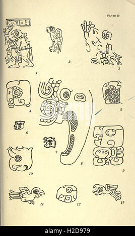 This plate from the Maya codices showcases animal figures, illustrating ...