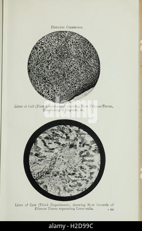 This report from the Australasian Association for the Advancement of ...