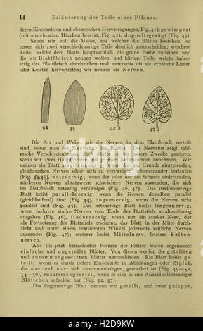 This guide provides instructions for plant collecting and botanical ...