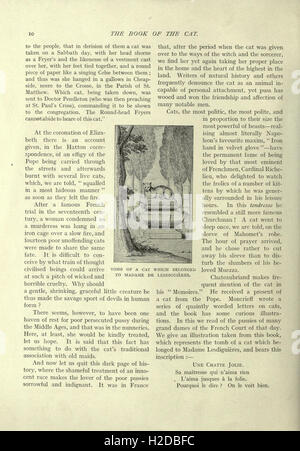 A comprehensive guide to the domestic cat, exploring its history ...